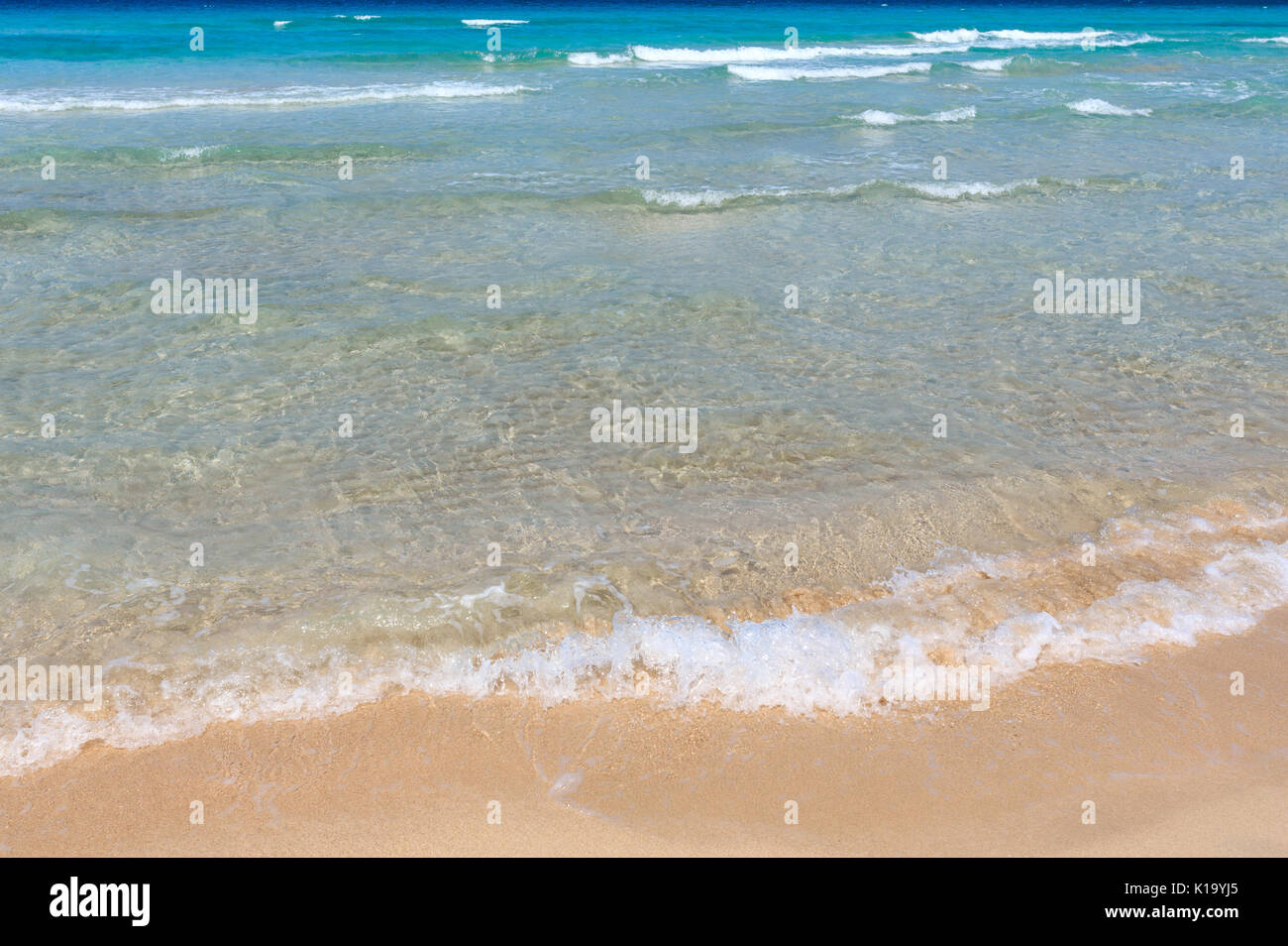 Beautiful sea surf, summer seascape view from sandy beach Stock Photo ...