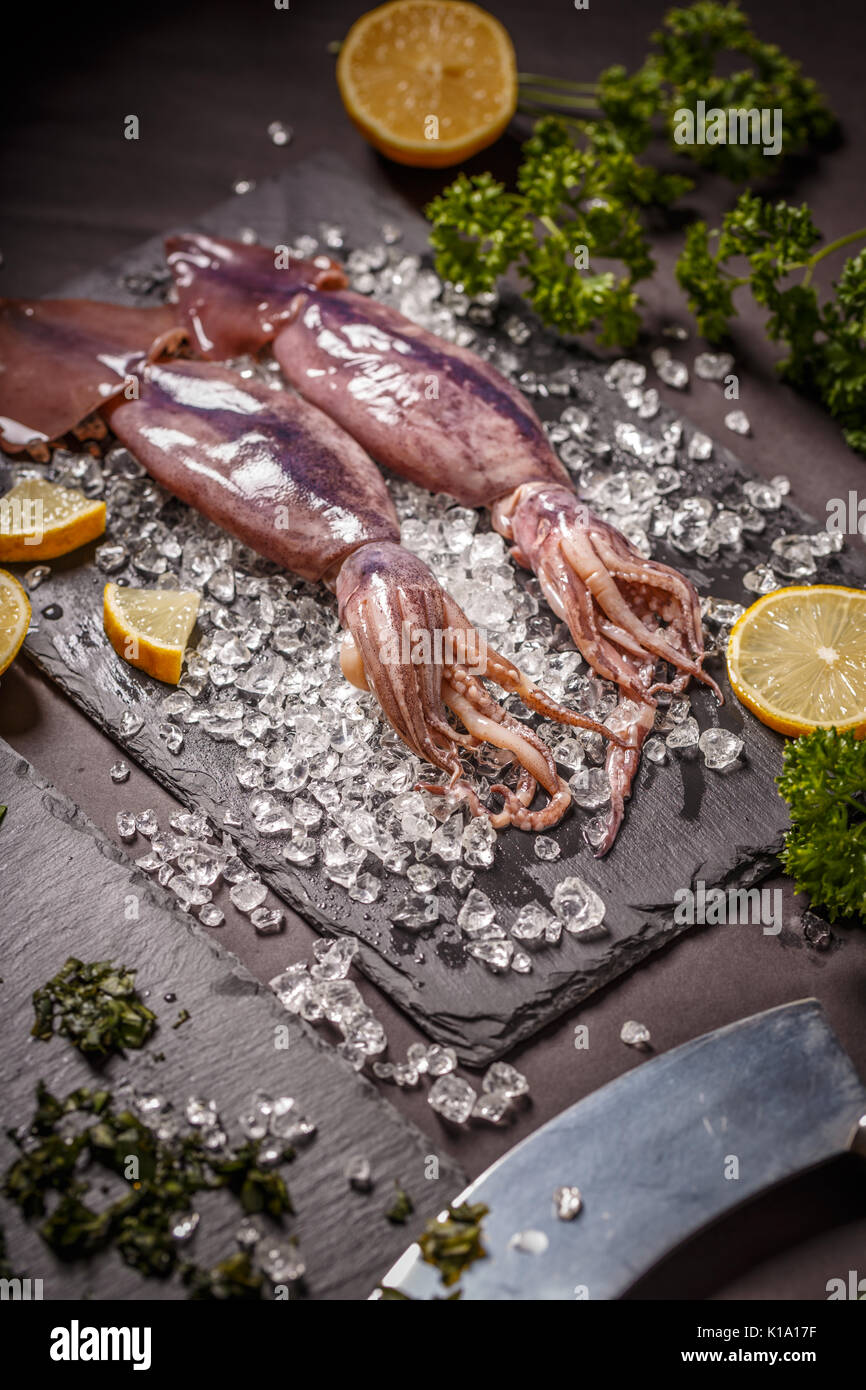Fresh cuttlefish on ice, studio shot Stock Photo - Alamy