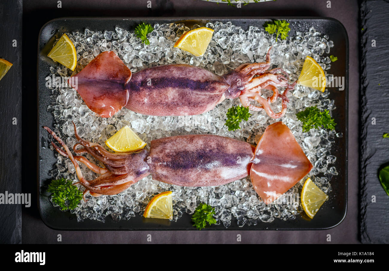 Black Of Cuttlefish High Resolution Stock Photography and Images - Alamy
