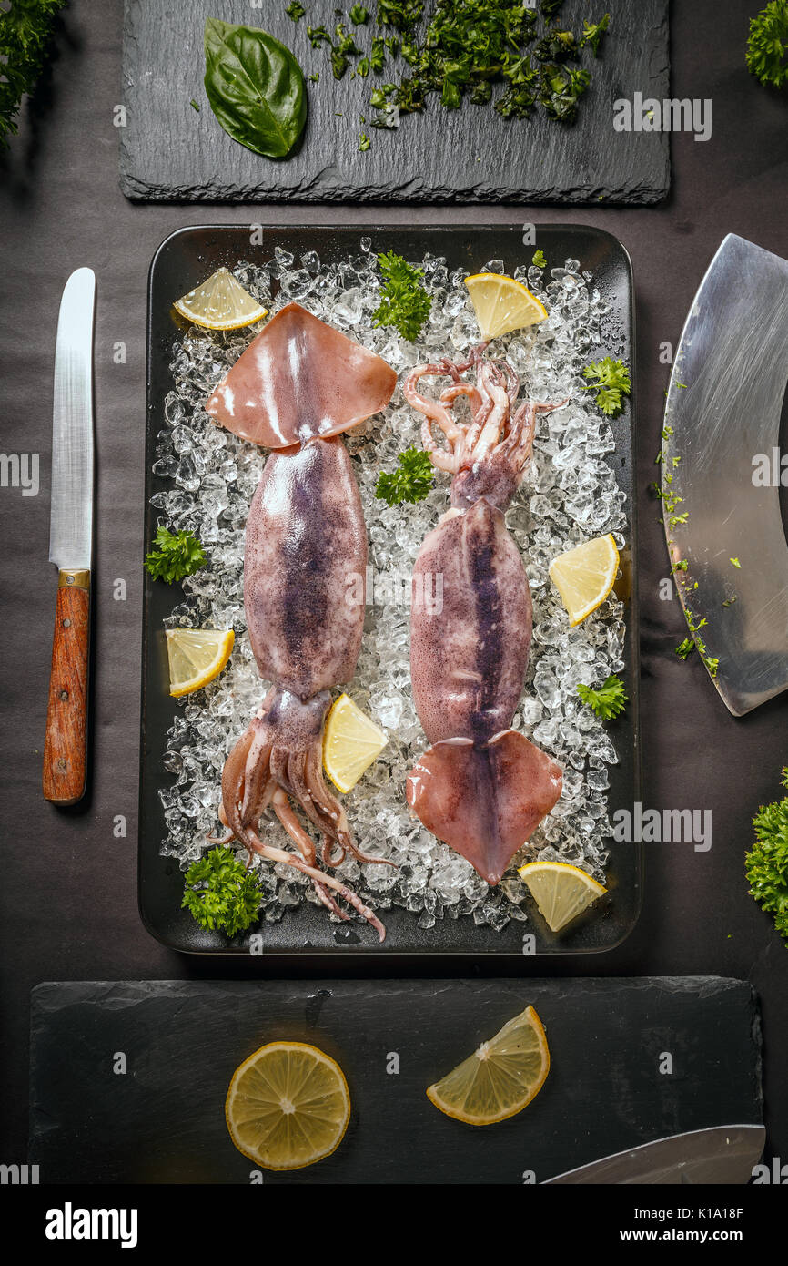 Squid top hi-res stock photography and images - Alamy