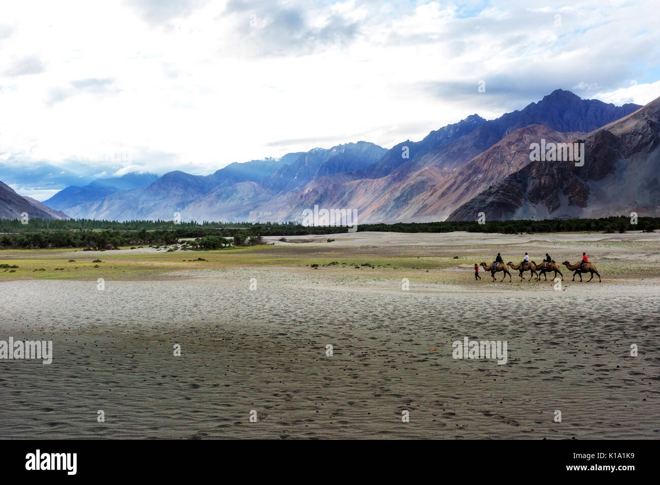 Hunder Sand Dunes of Nubra Valley in Leh Ladakh, Jammu and Kashmir ...