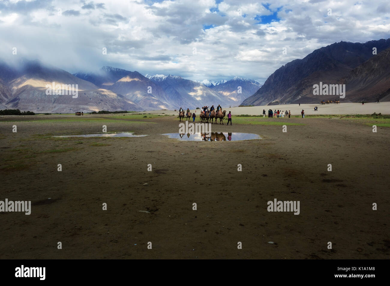 Hunder Sand Dunes of Nubra Valley in Leh Ladakh, Jammu and Kashmir ...