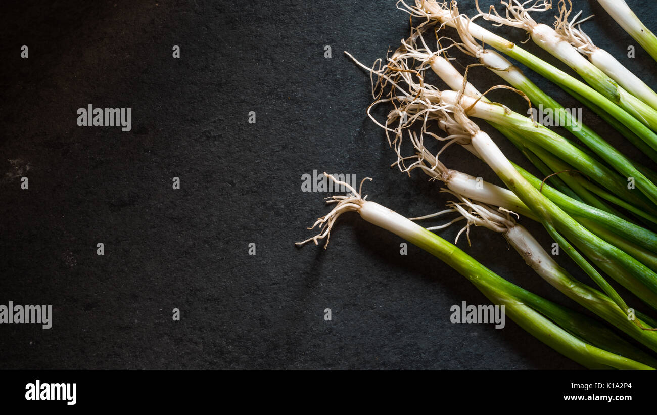 Closeup on spring onion roots hi-res stock photography and images - Alamy