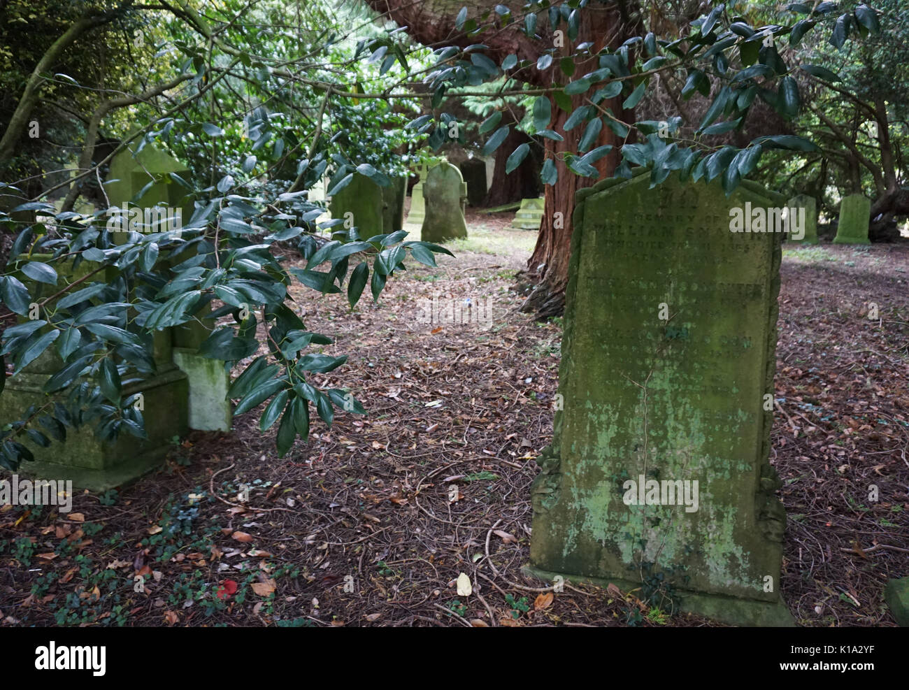 Neglected Old Weathered Victorian British Stone Gravestones, Headstones ...