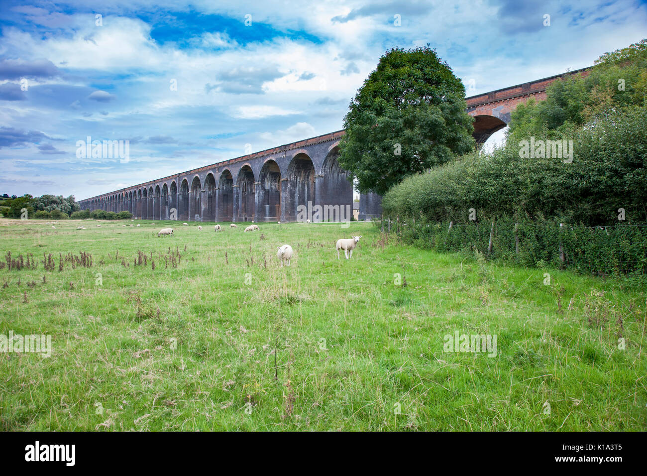 Harringworth viaduct hi-res stock photography and images - Alamy