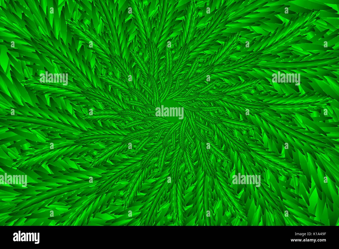 Spruce branches in vintage Stock Vector Images - Alamy