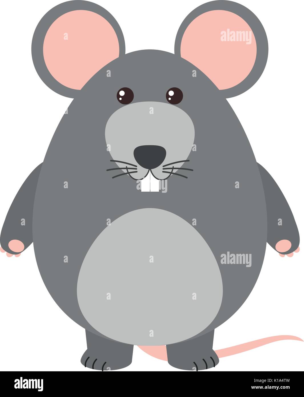 Gray rat on white background illustration Stock Vector Image & Art - Alamy