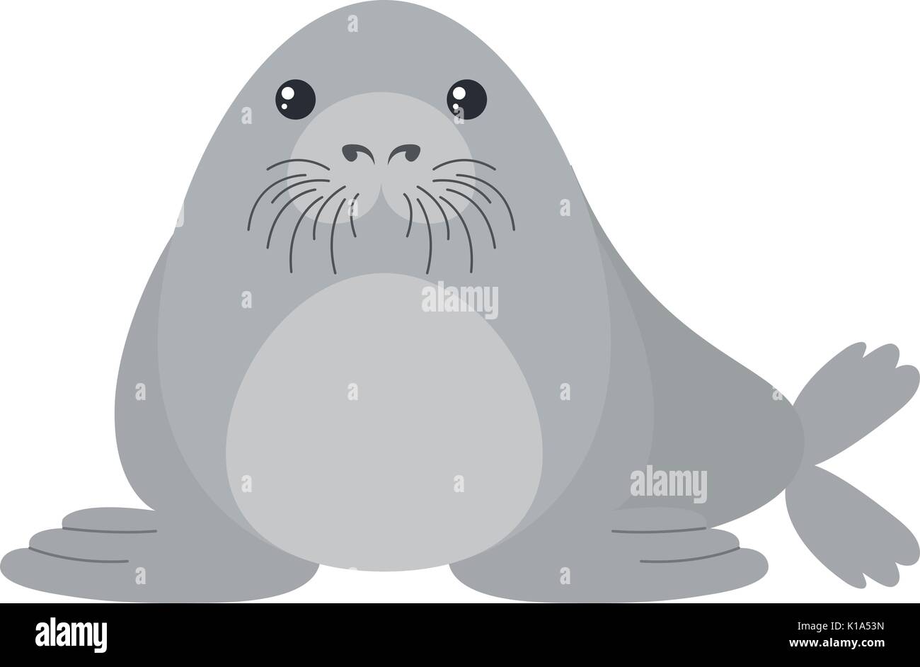 Cute seal on white background illustration Stock Vector Image & Art - Alamy