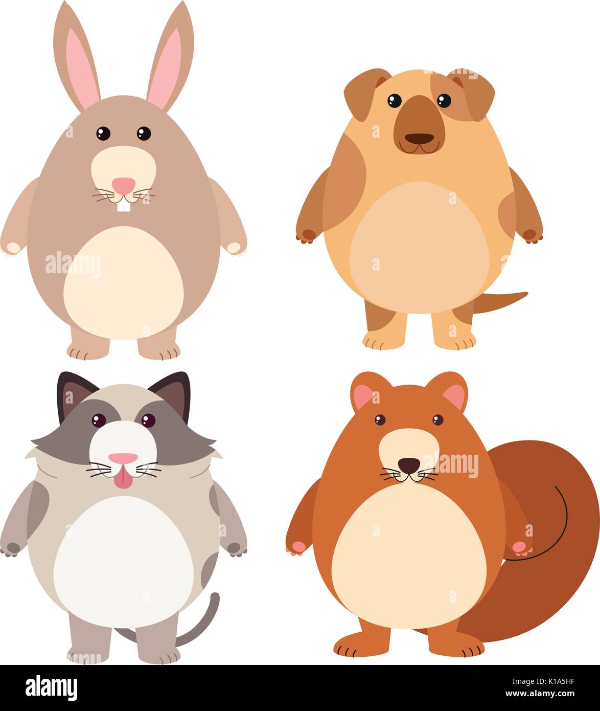Four types of cute pets illustration Stock Vector Image & Art - Alamy