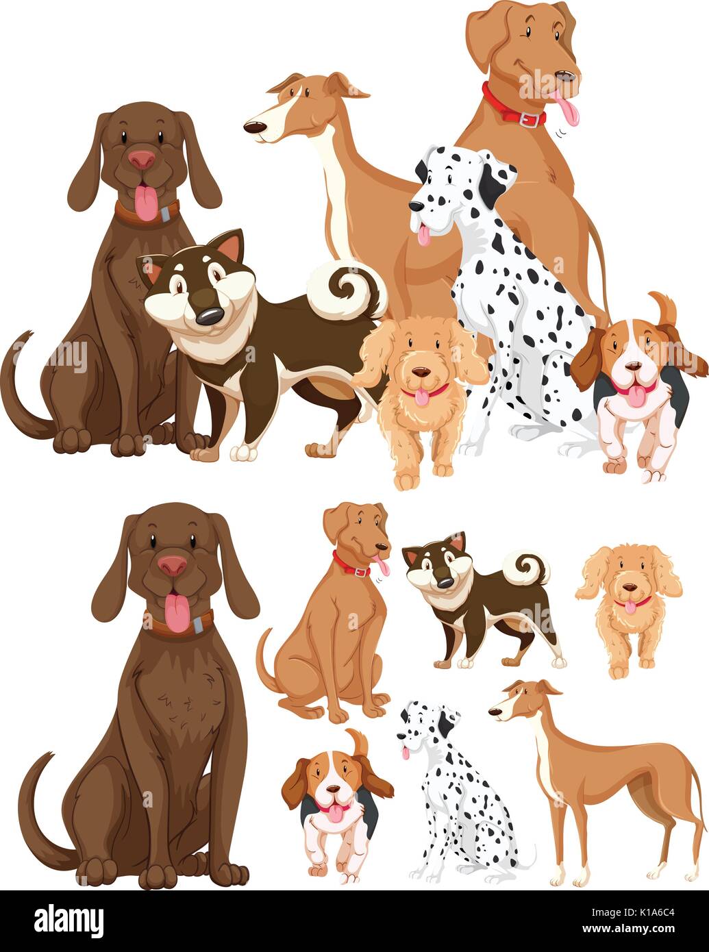 Many types of dogs illustration Stock Vector Image & Art - Alamy