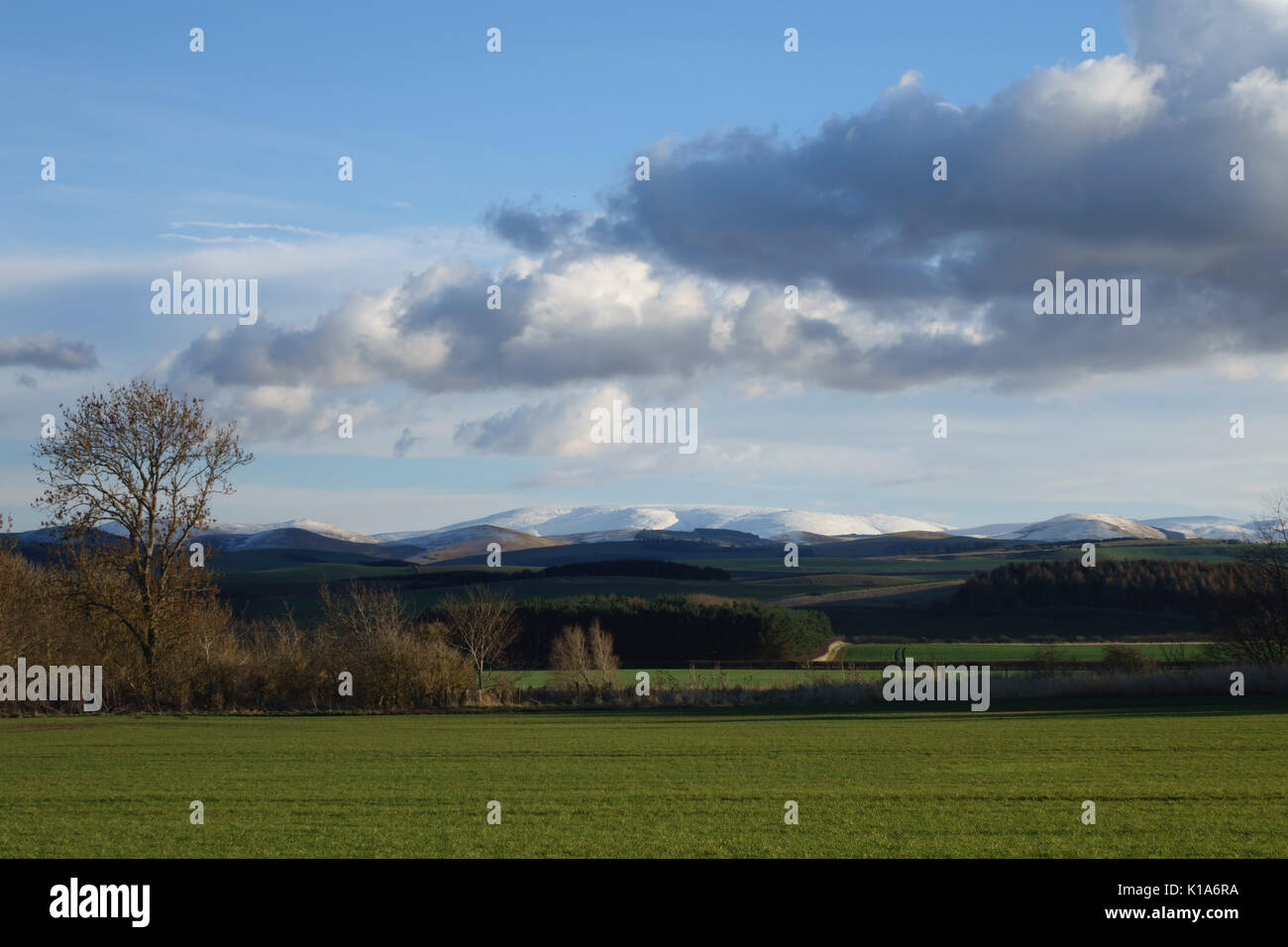 Scotland - view of the Cheviot hills (English Border) from ...