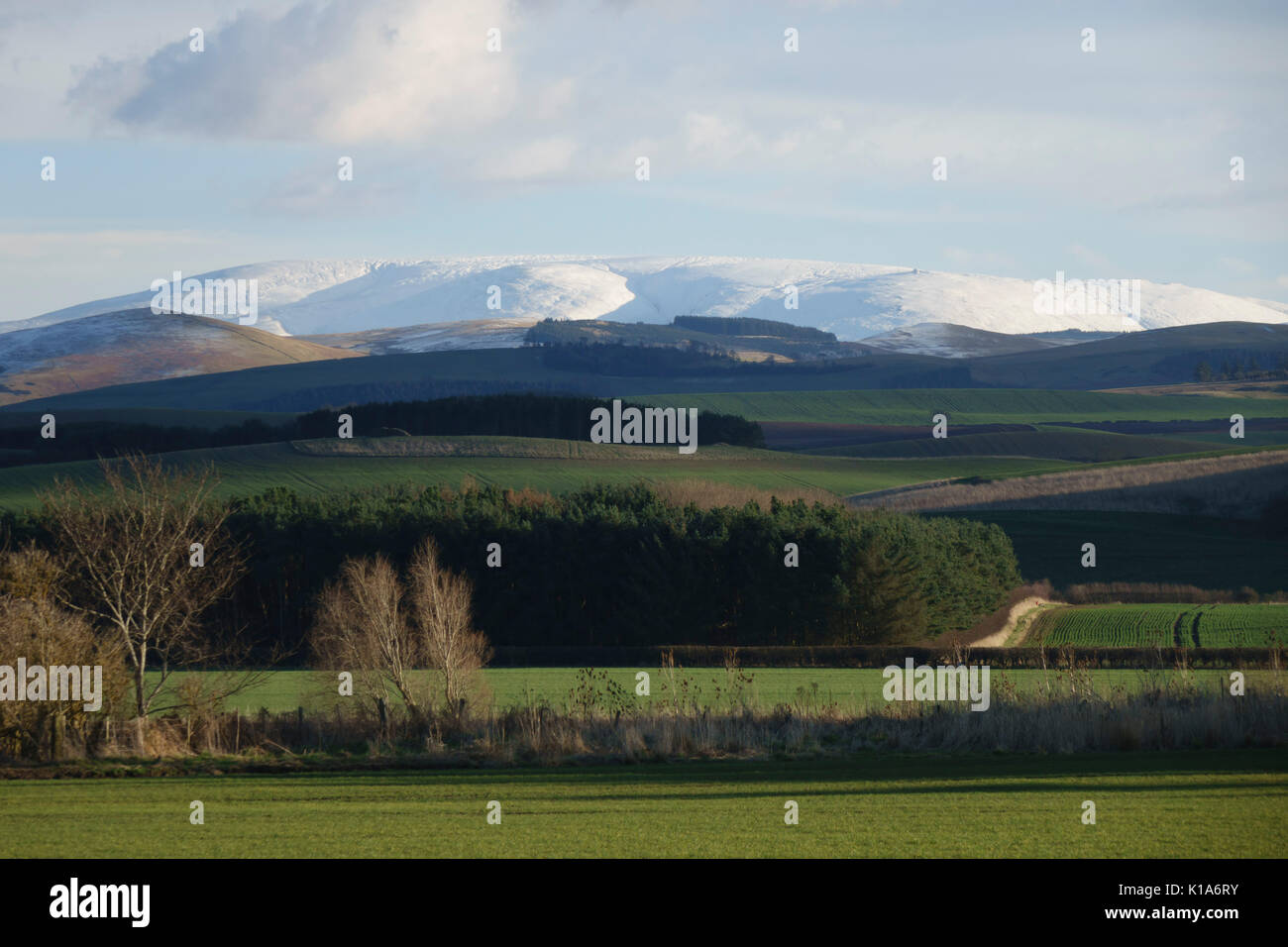 Scotland - view of the Cheviot hills (English Border) from ...