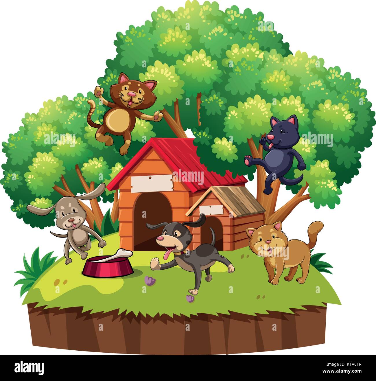 Dogs and cats at pethouse illustration Stock Vector Image & Art - Alamy