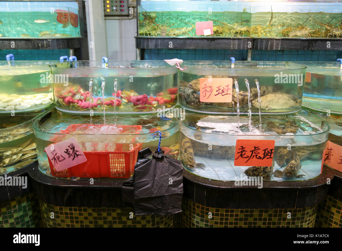 Huangsha fish market hi-res stock photography and images - Alamy
