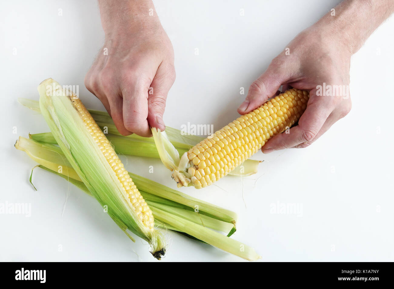 The elderly farmer is cleaning the corn cobs from the shell on a white ...