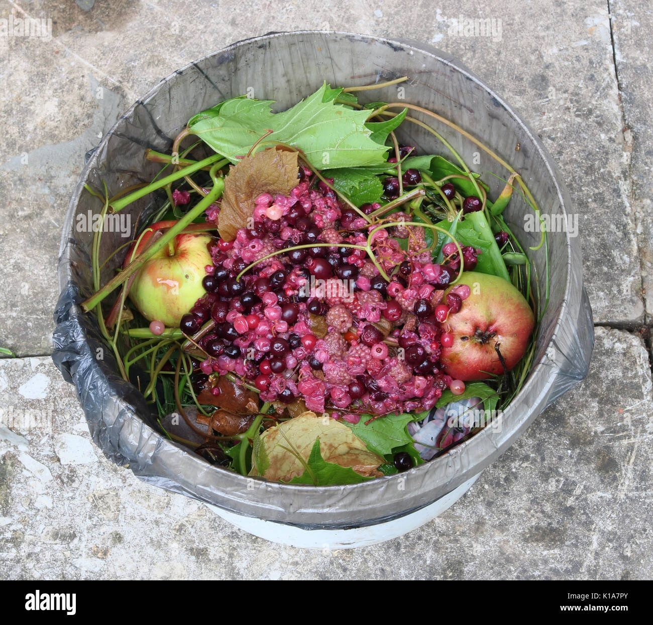 Food waste bucket hi-res stock photography and images - Alamy