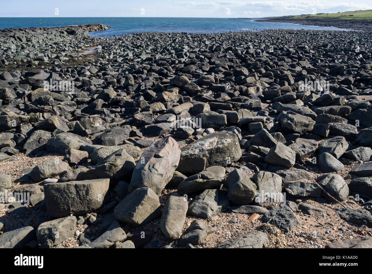England, Northumberland - Craster on the north sea coast. Dunstanburgh ...