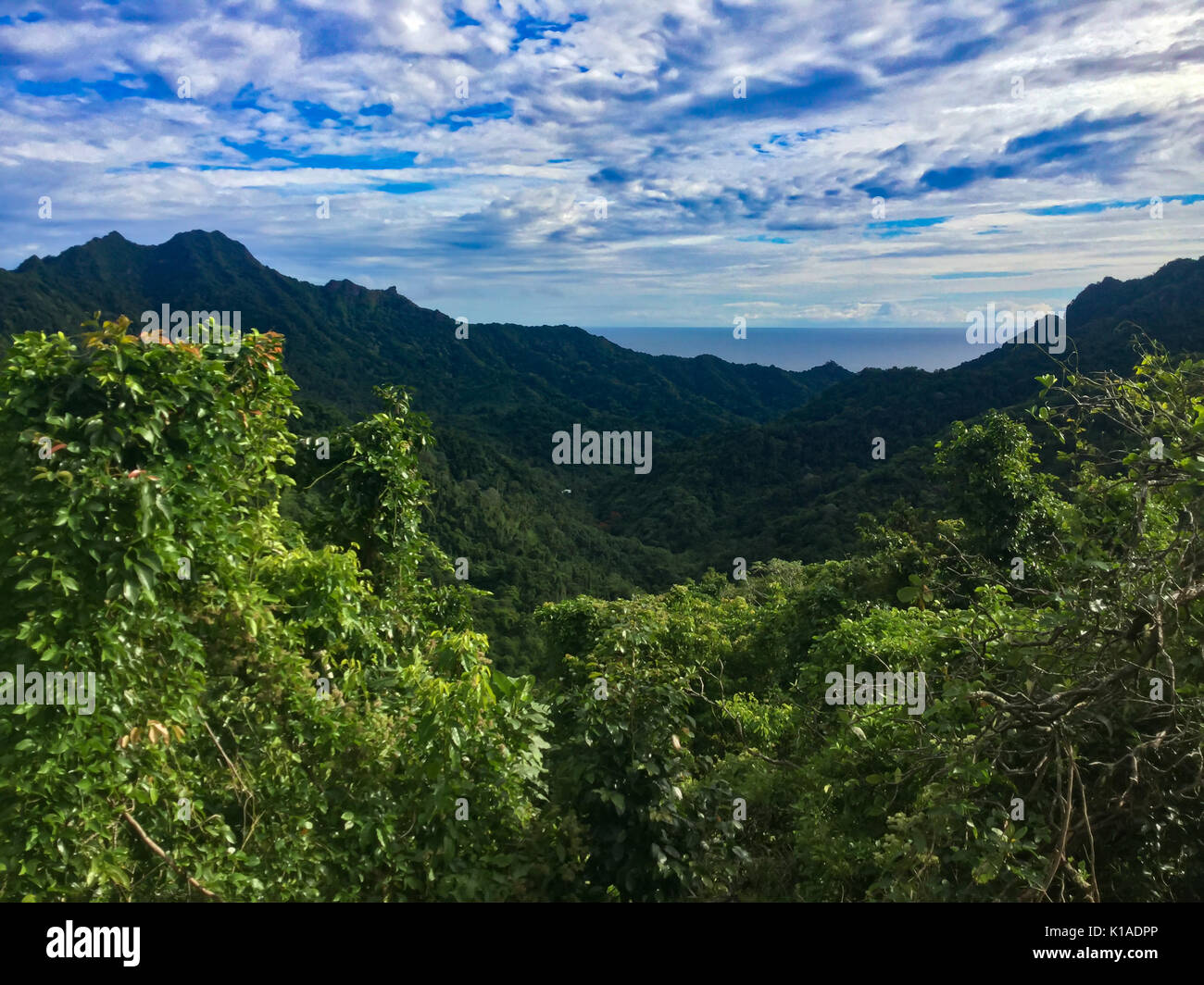 The cross island hike in Rarotonga, Cook Islands is very rewarding with ...