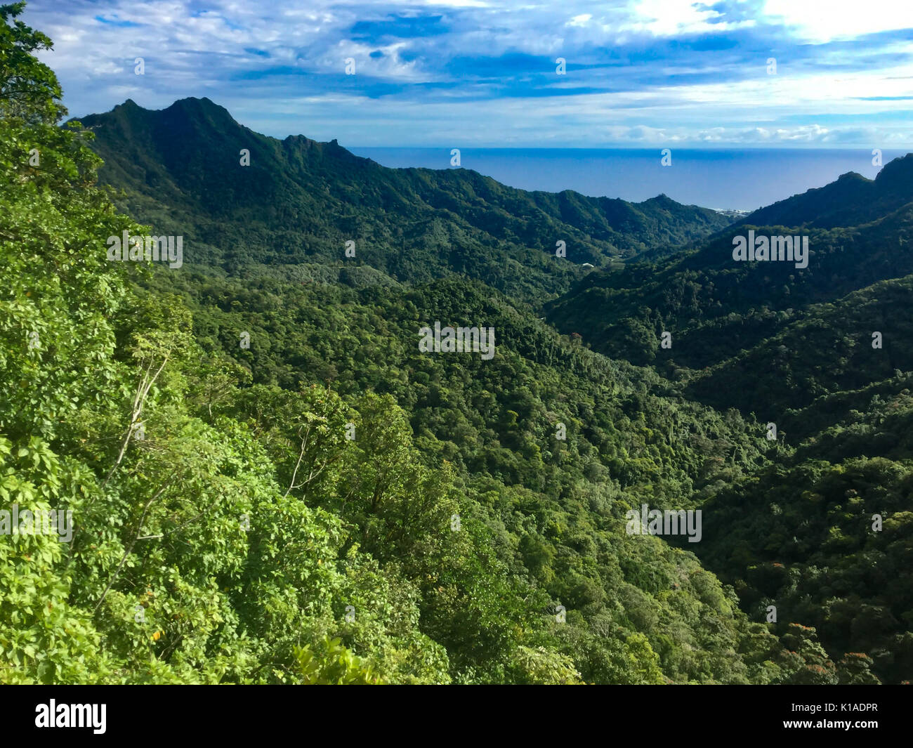 The cross island hike in Rarotonga, Cook Islands is very rewarding with ...