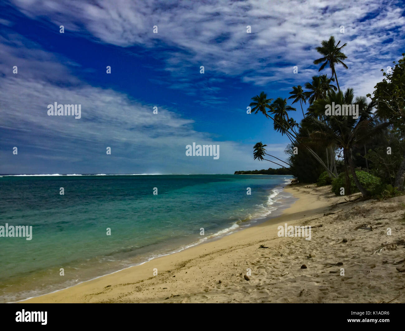 The cross island hike in Rarotonga, Cook Islands is very rewarding with ...