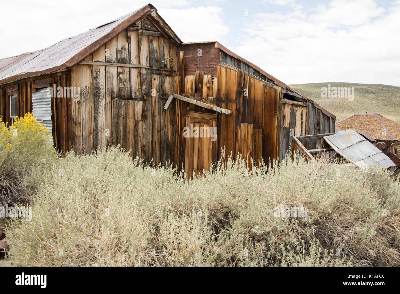 Falling wooden structure in tall grasses in Bodie State Historic Park ...