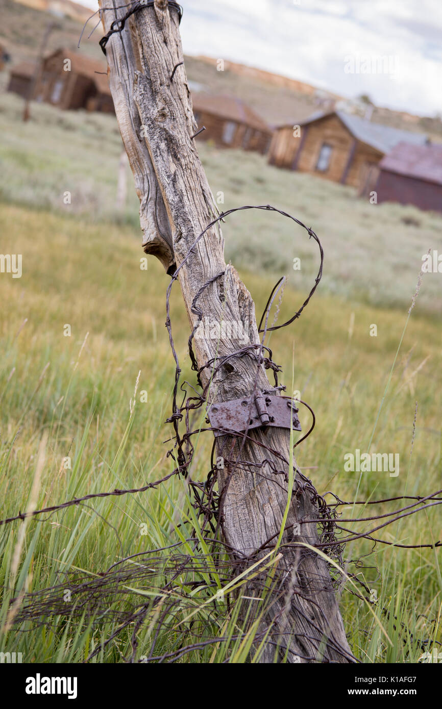 Barbed wire wrapped around post in field in Bodie State Historic Park ...