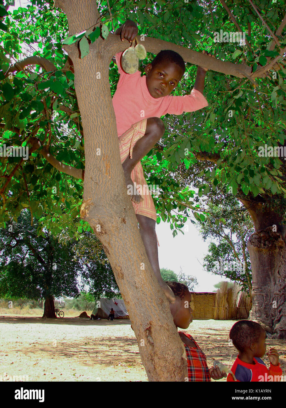 Big 6 africa hi-res stock photography and images - Alamy
