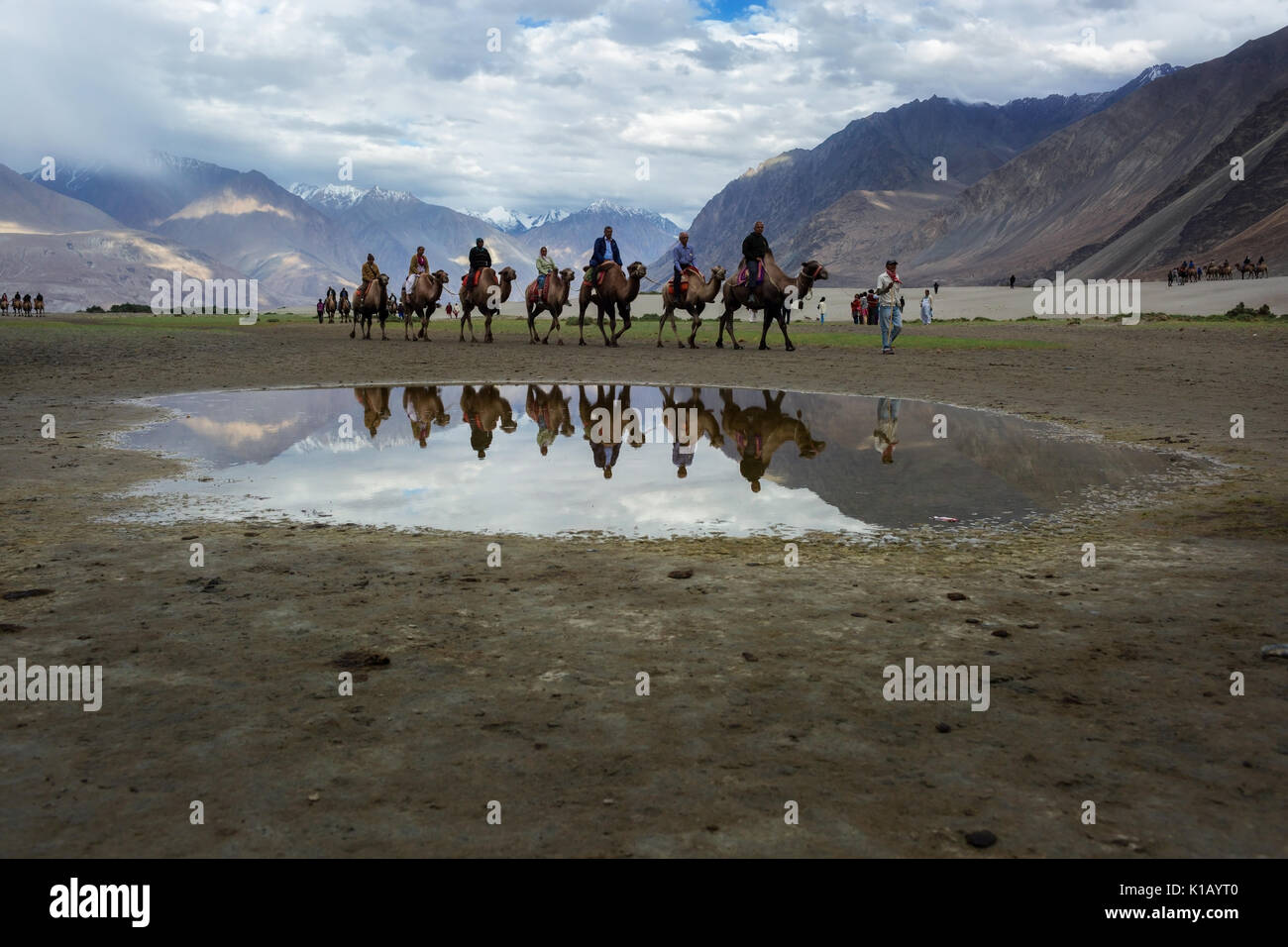 Hunder Sand Dunes of Nubra Valley in Leh Ladakh, Jammu and Kashmir ...