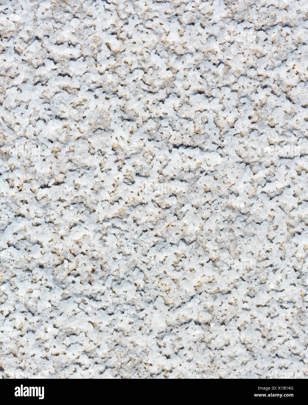 Structure of salt deposits on stony Massolivieri summer sea coast ...