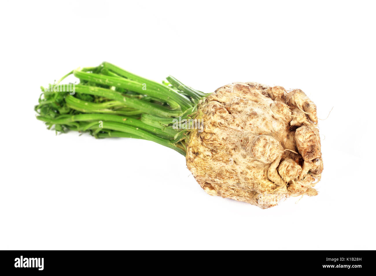 Celery Bulb High Resolution Stock Photography and Images - Alamy