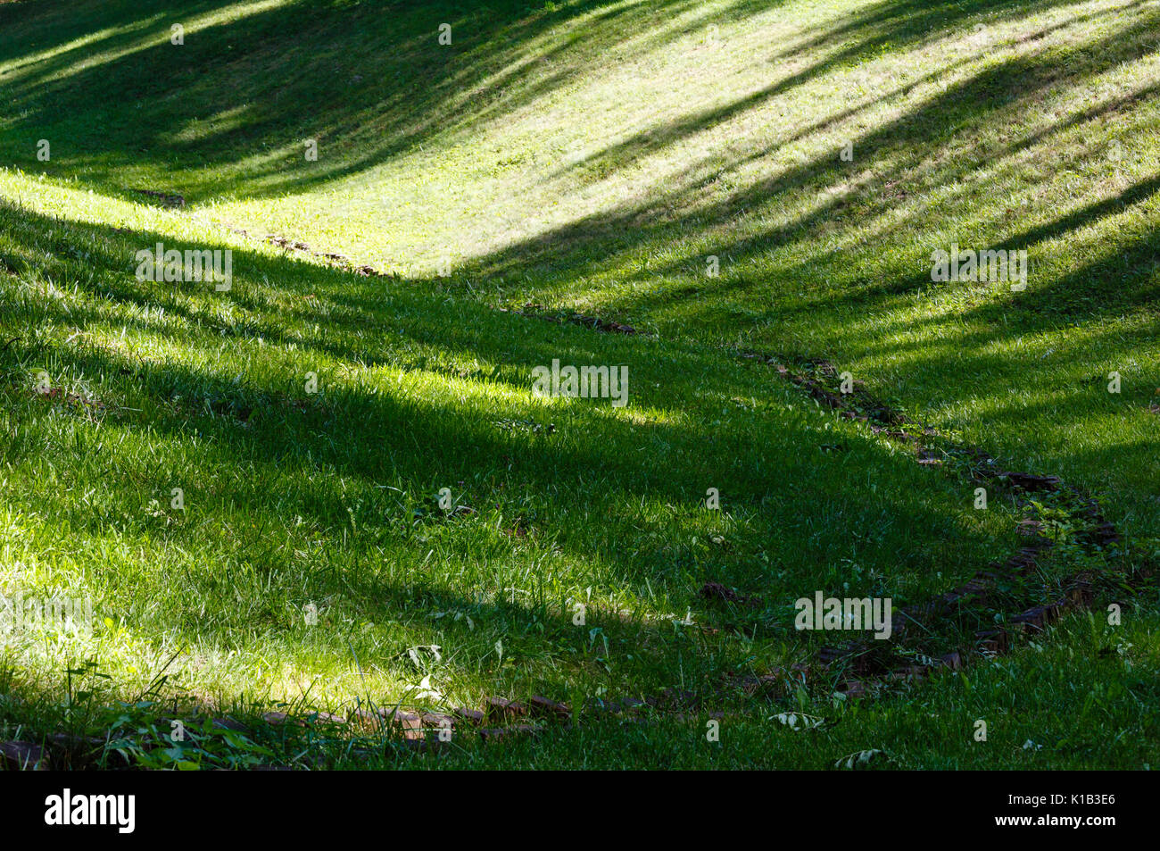 Perfect green grass lawn on landscape designed summer park hollow ...