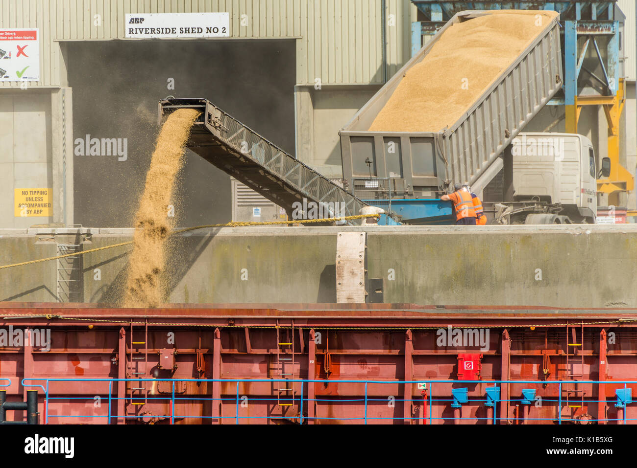Grain loading for export Stock Photo - Alamy