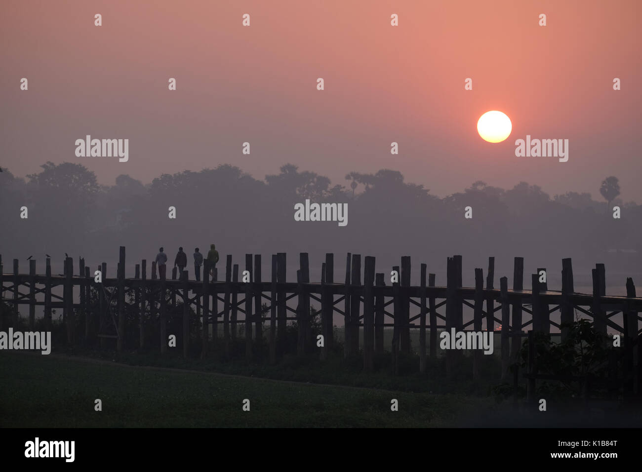 Ubein hi-res stock photography and images - Alamy