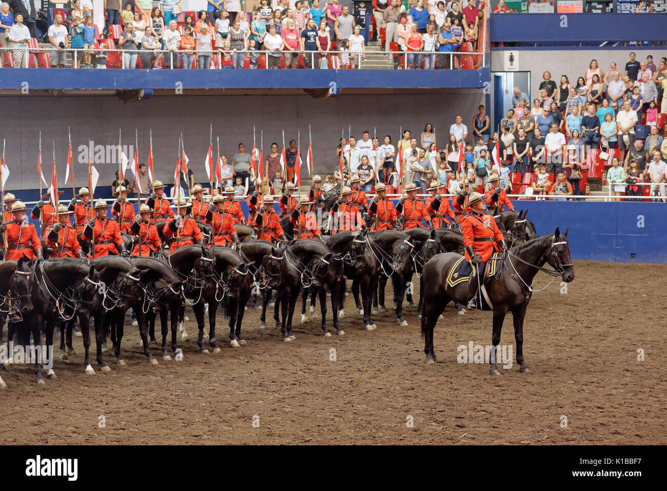 Rcmp horse hi-res stock photography and images - Alamy
