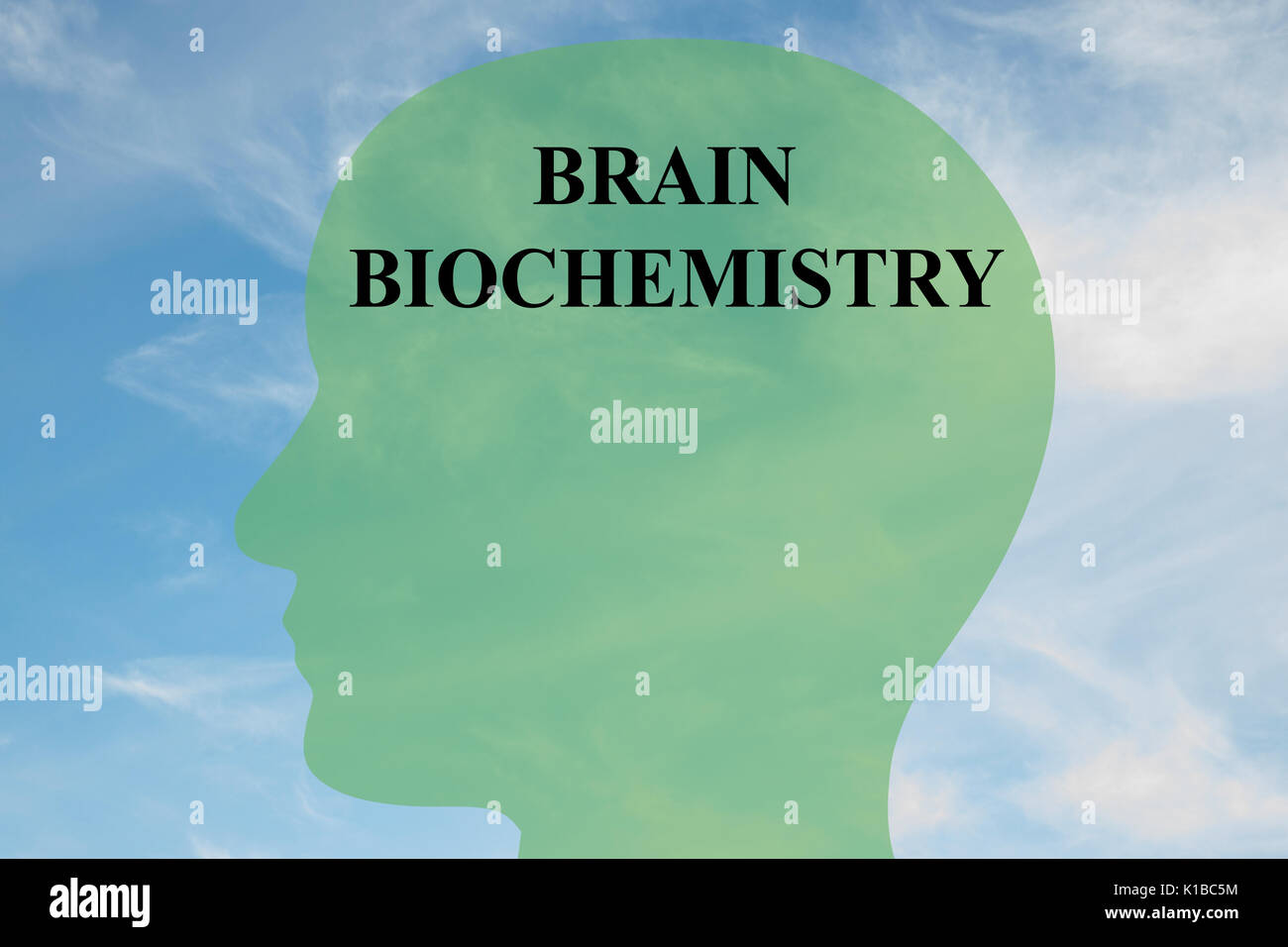 Render illustration of "BRAIN BIOCHEMISTRY" script on head silhouette ...