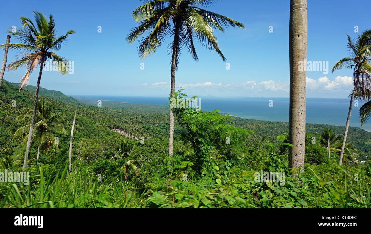 viewpoint in samana over amazing green tropical landscapes Stock Photo ...