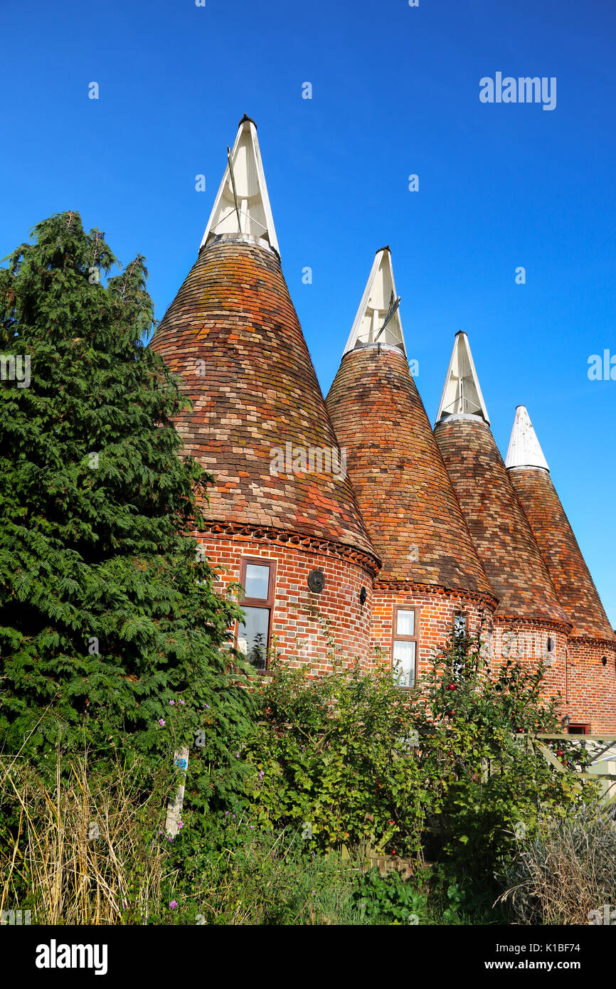 Oast Houses, Ickham Stock Photo - Alamy