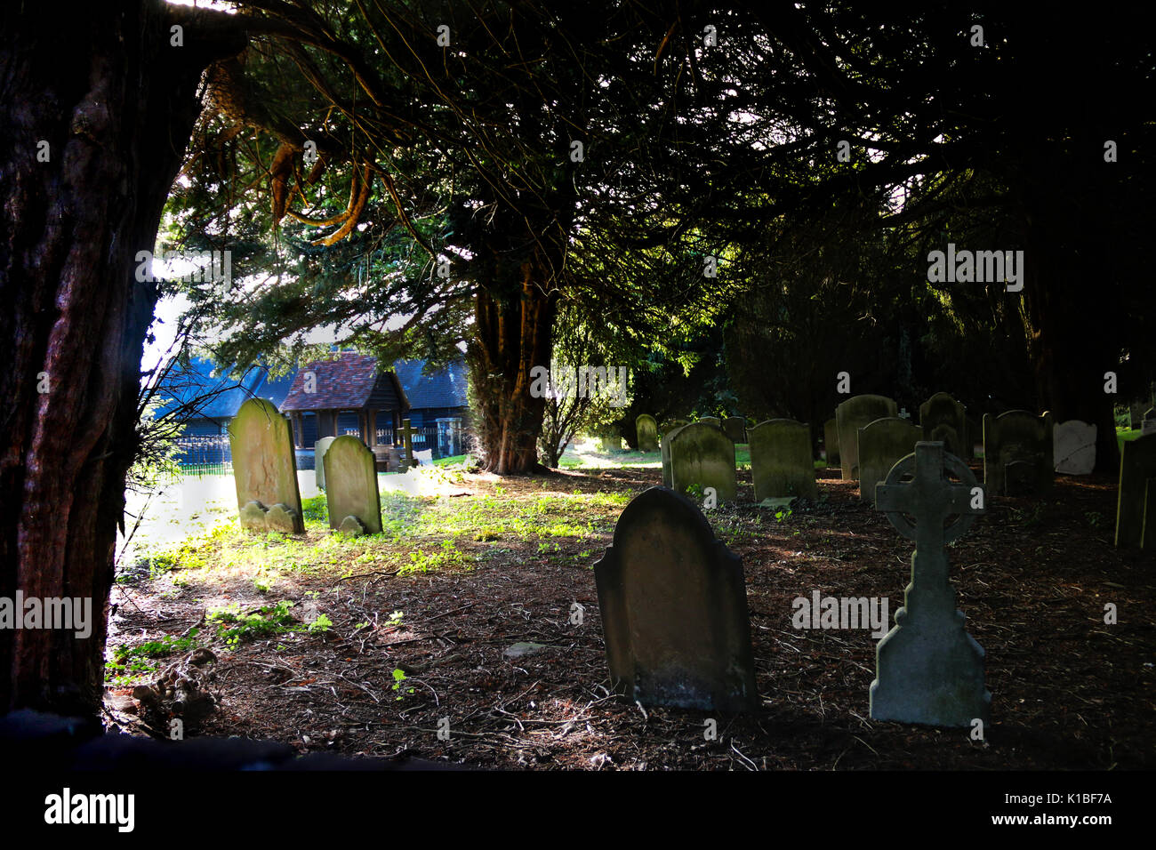 Shaded Churchyard, Ickham Stock Photo - Alamy