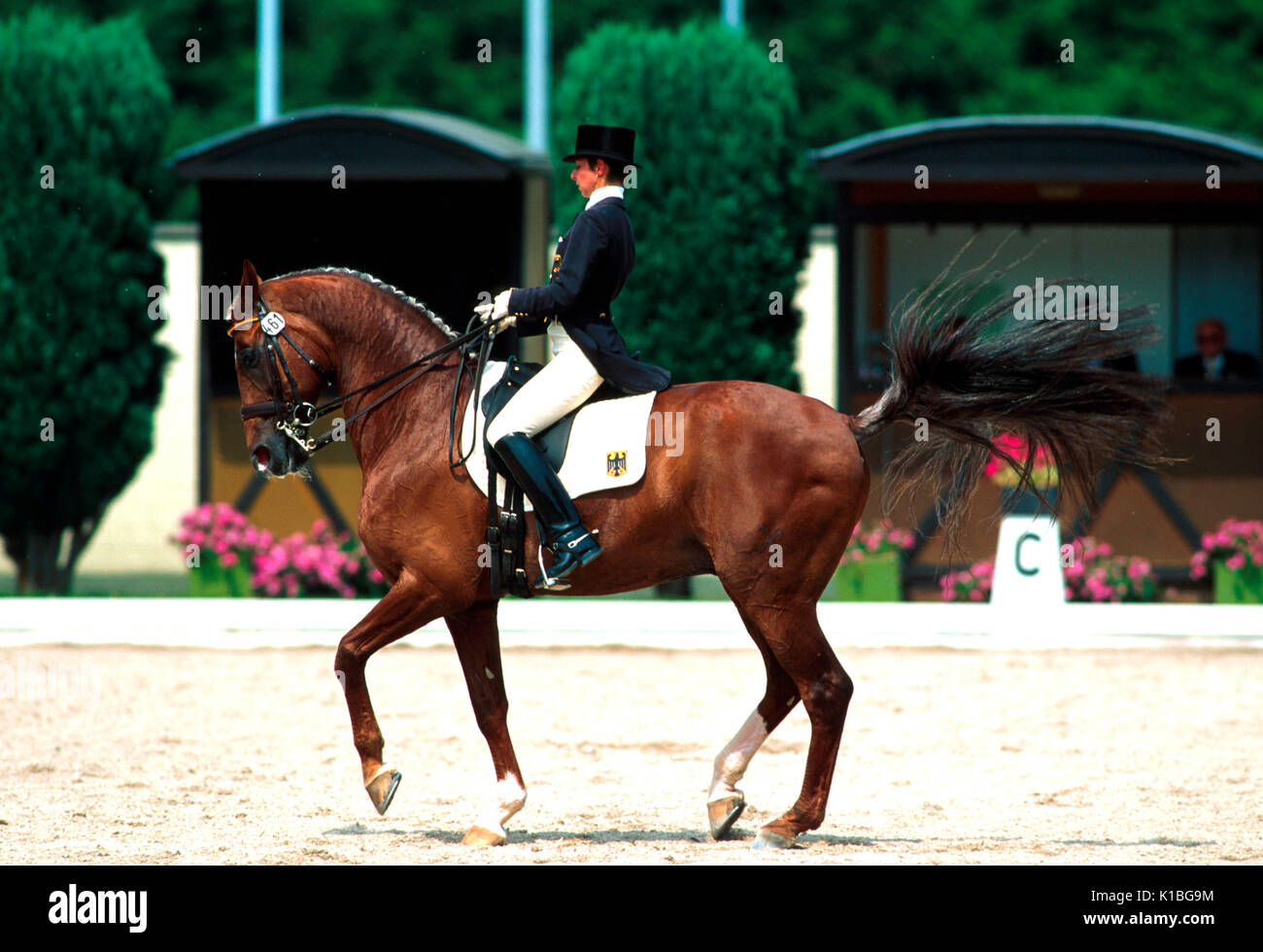 Monica theodorescu hi-res stock photography and images - Alamy