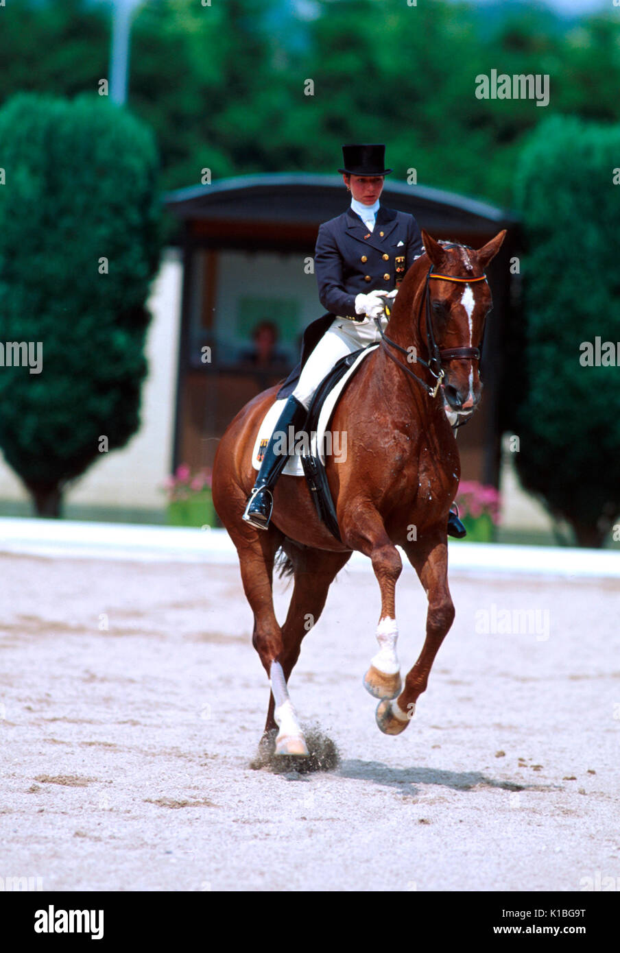 CHIO Aachen 1994, Monica Theodorescu (GER) riding Grunox Tecrent Stock ...