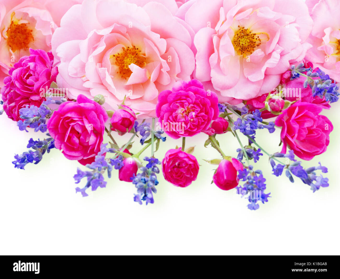Provence rosa hi-res stock photography and images - Alamy