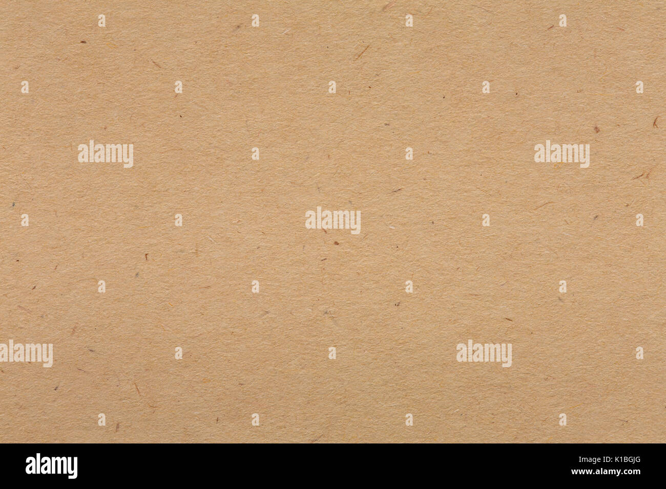 Wrapping paper beige cardboard background. High quality texture in ...