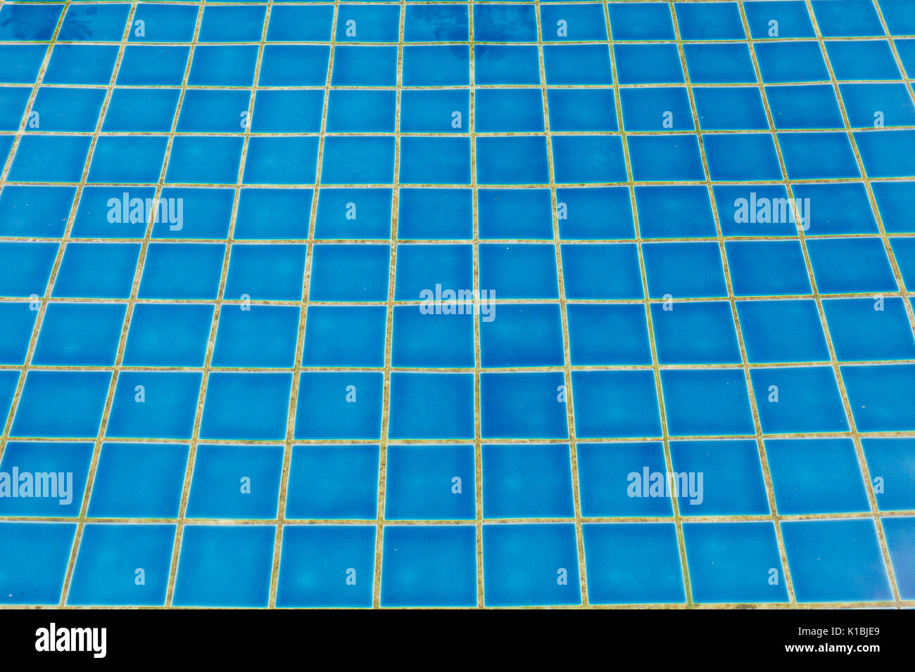 swimming pool tiles background Stock Photo - Alamy
