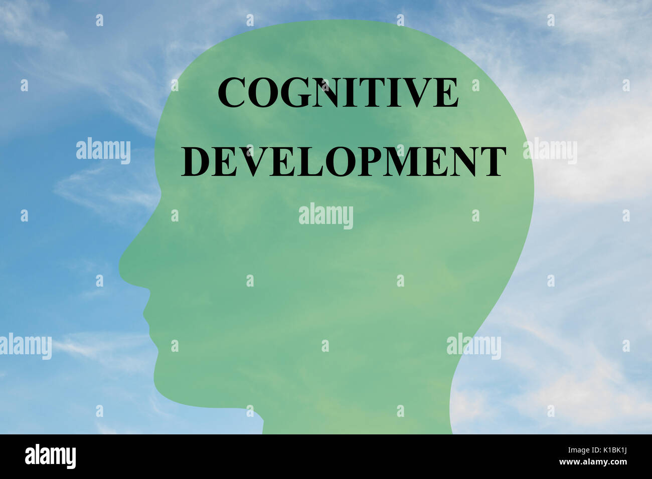 Render illustration of COGNITIVE DEVELOPMENT script on head silhouette ...