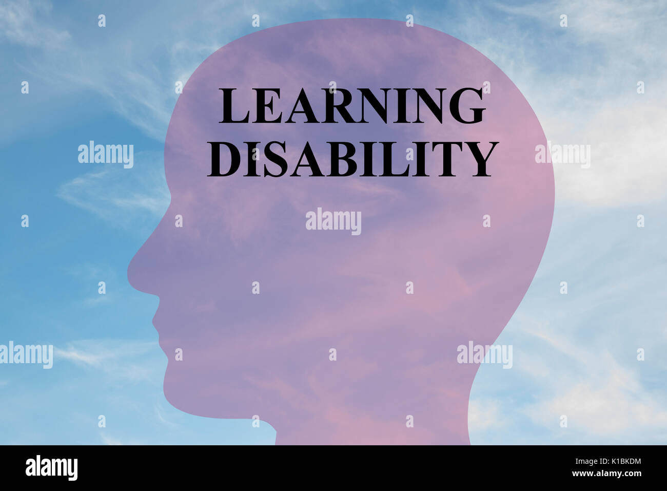 Render illustration of Learning Disability title on head silhouette ...