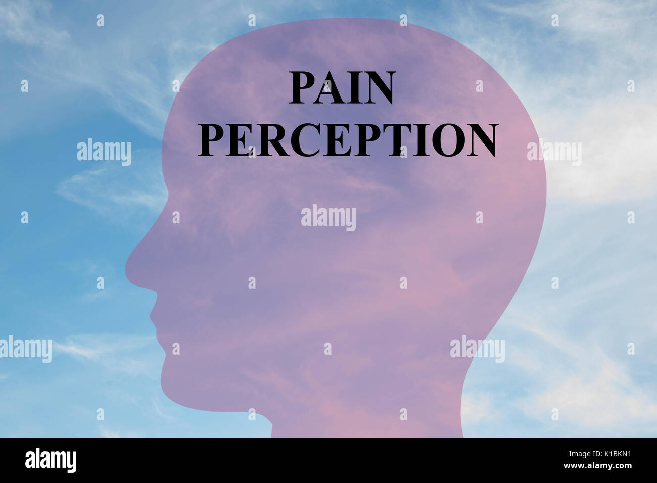 Render illustration of Pain Perception title on head silhouette, with ...
