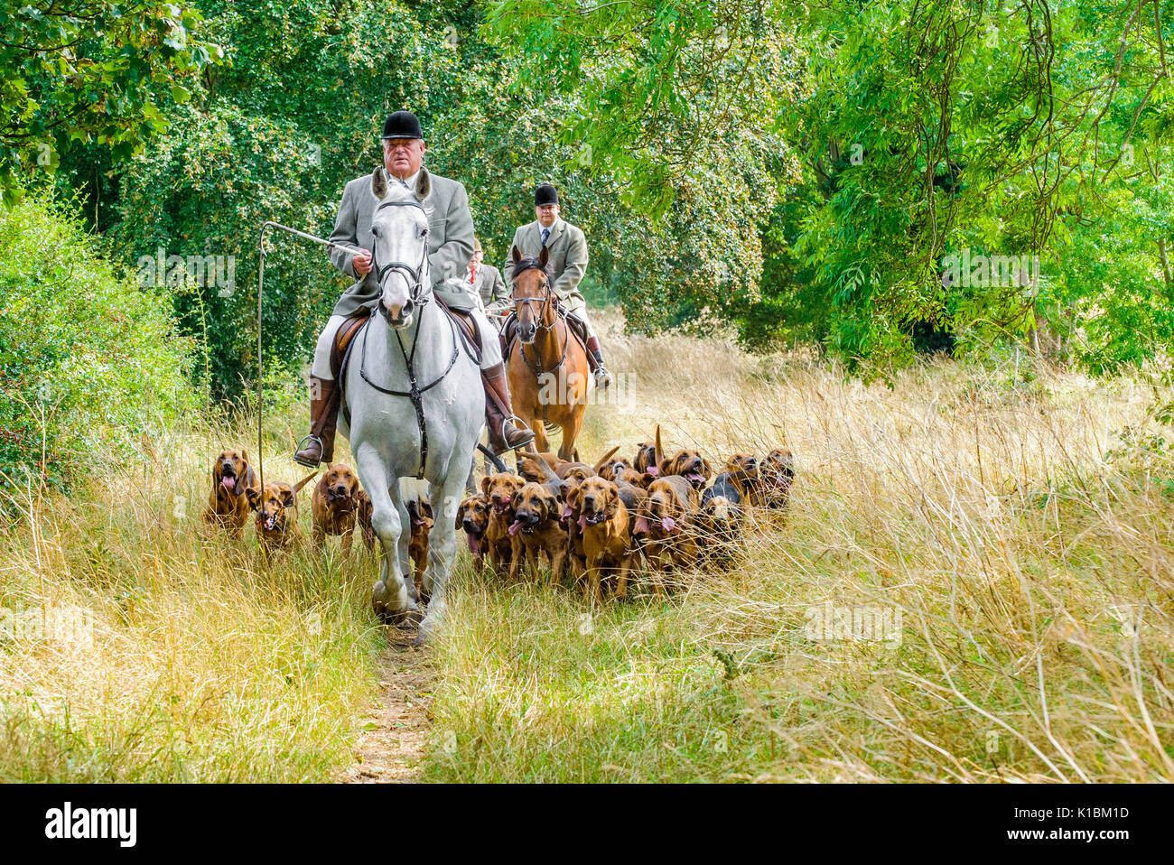 Cranwell bloodhounds hi-res stock photography and images - Alamy