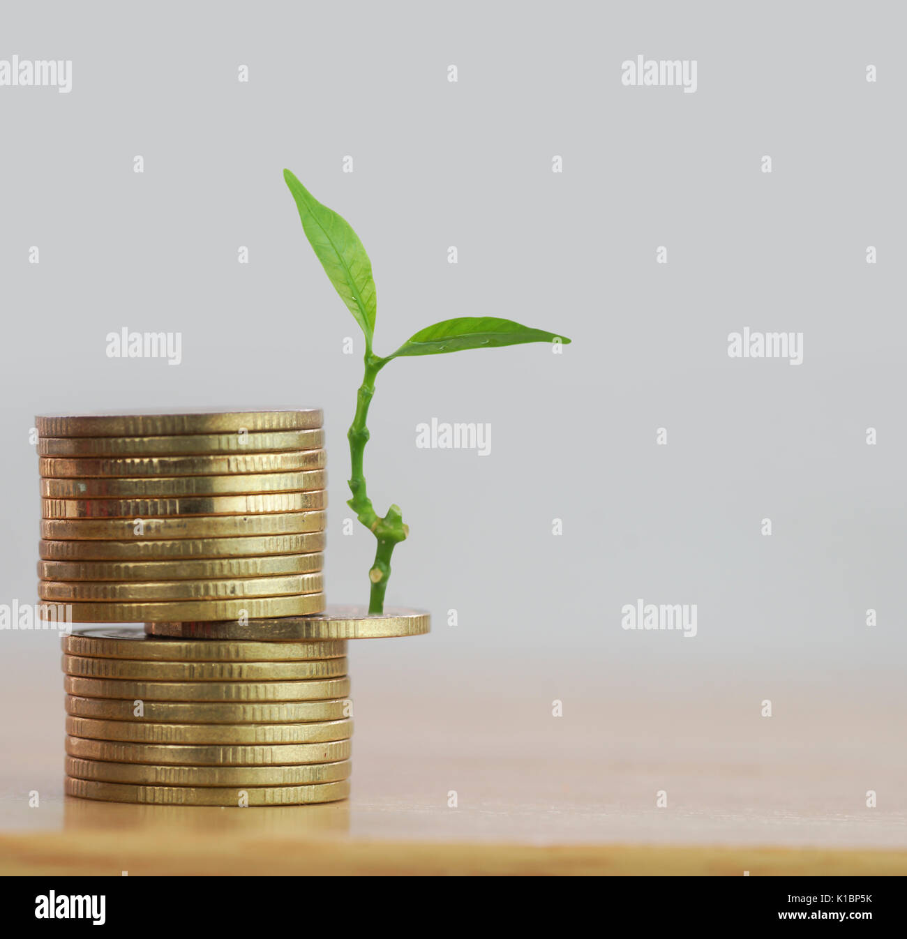 Save tree concept stock hi-res stock photography and images - Alamy