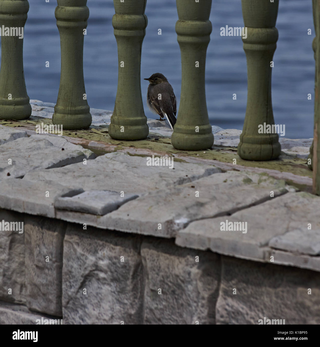 Stone parapet hi-res stock photography and images - Alamy