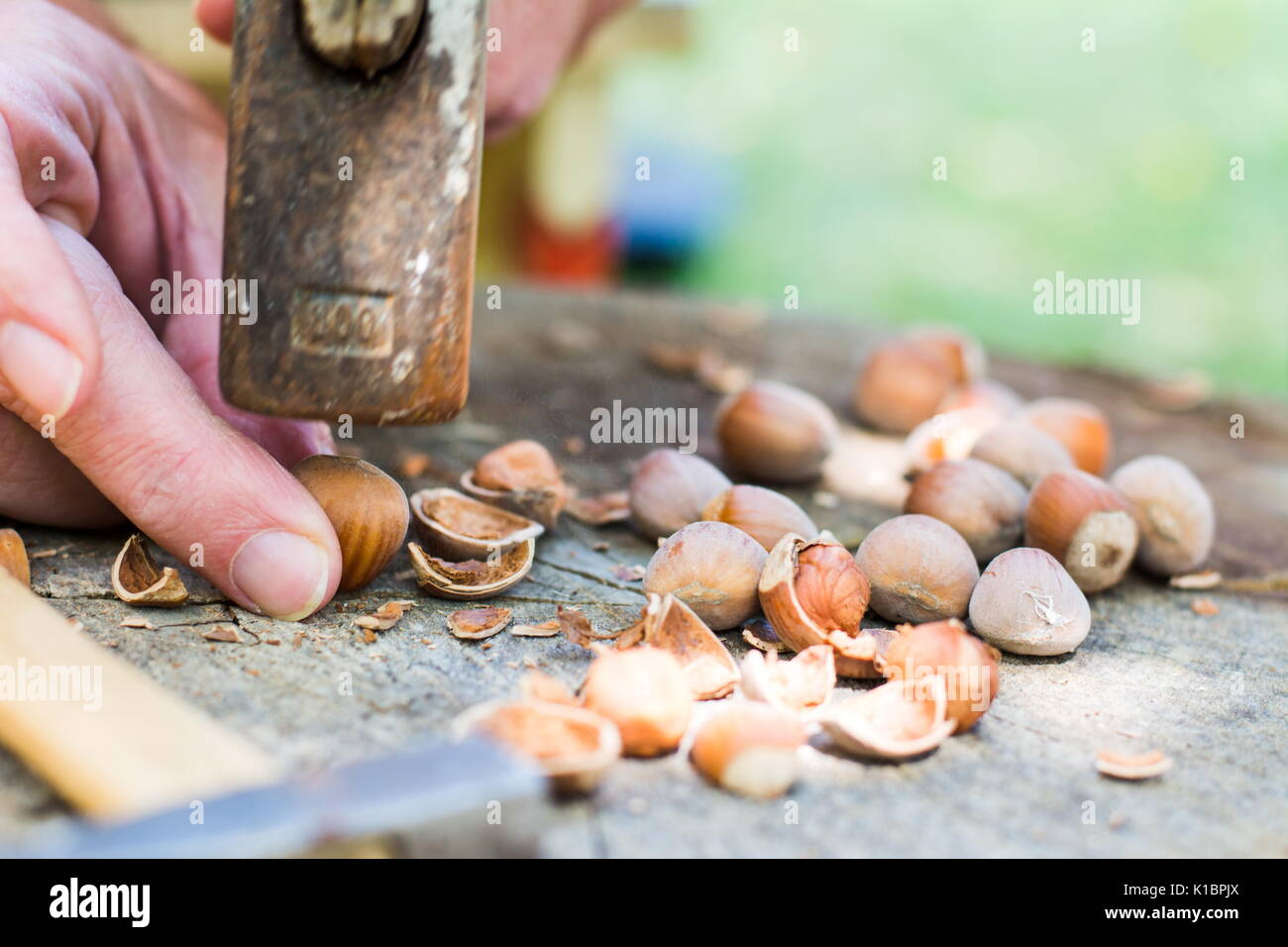 Man cracking a nut hi-res stock photography and images - Alamy